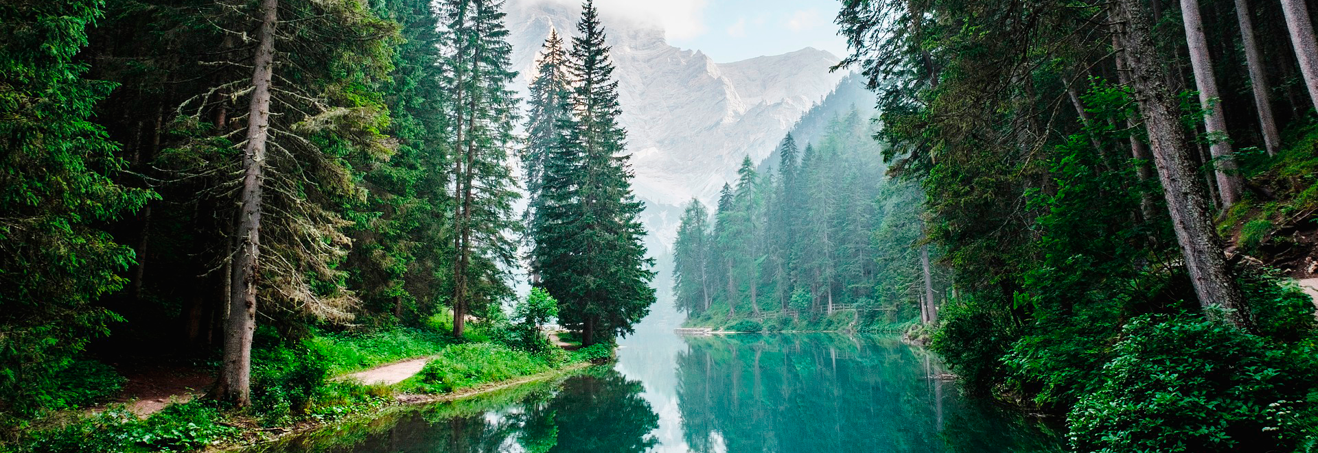 プロフィール – SAKURA Cube